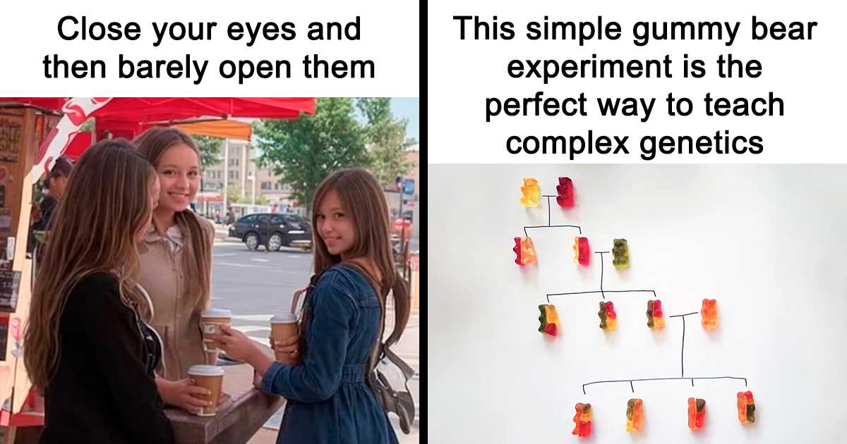 “How Things Work”: 50 Facts And Curiosities More People Should Know ...