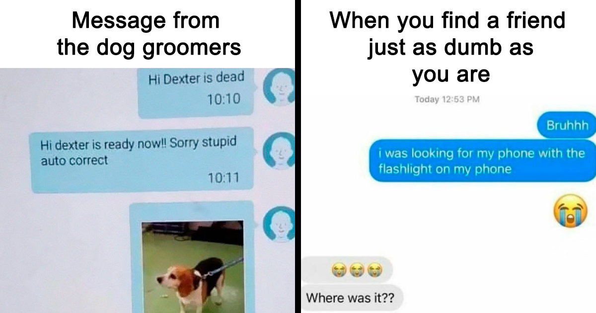 50 Funny Memes For Those Who Could Really Use Some Mind-Numbing Humor ...
