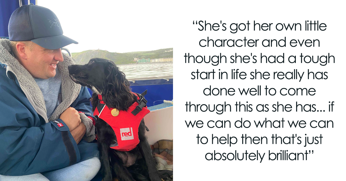 6-Legged ‘Mermaid’ Dog Was Finally Adopted By Surf Instructors For ...