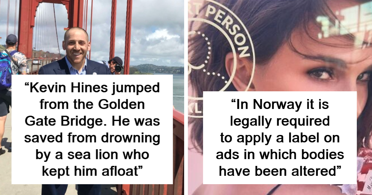 ‘Now You Know’: 50 Random Facts That Are Too Interesting To Scroll Past ...