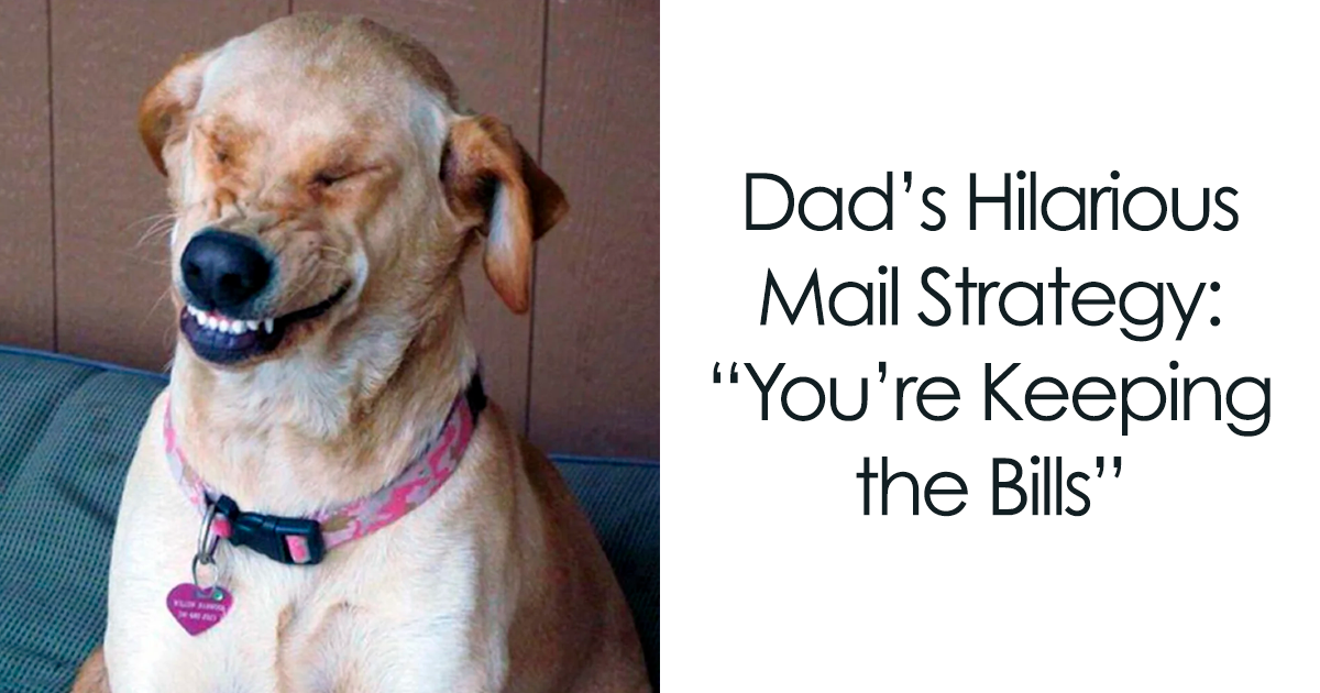40 Dad Memes That Prove Dads Are The Funniest People Alive | Bored Panda