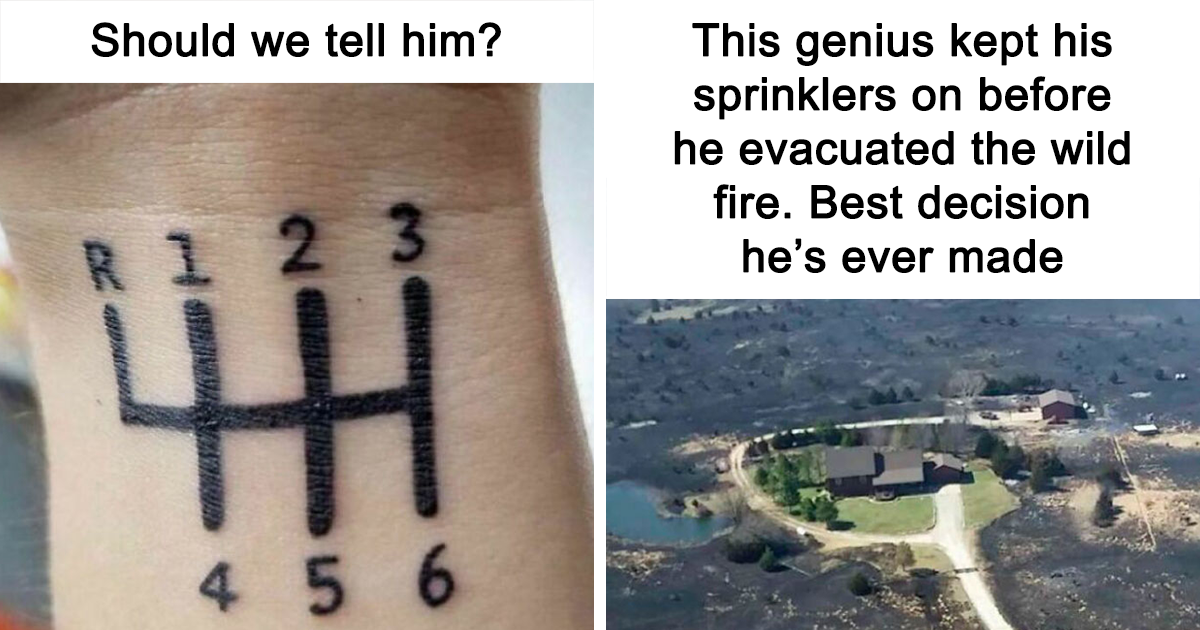 50 Random Memes To Share With A Random Person At The Bus Stop | Bored Panda