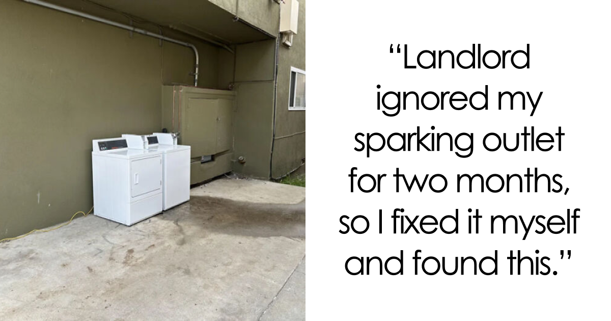 23 Times The *Landlord Special* Shocked Even The People Of Reddit ...