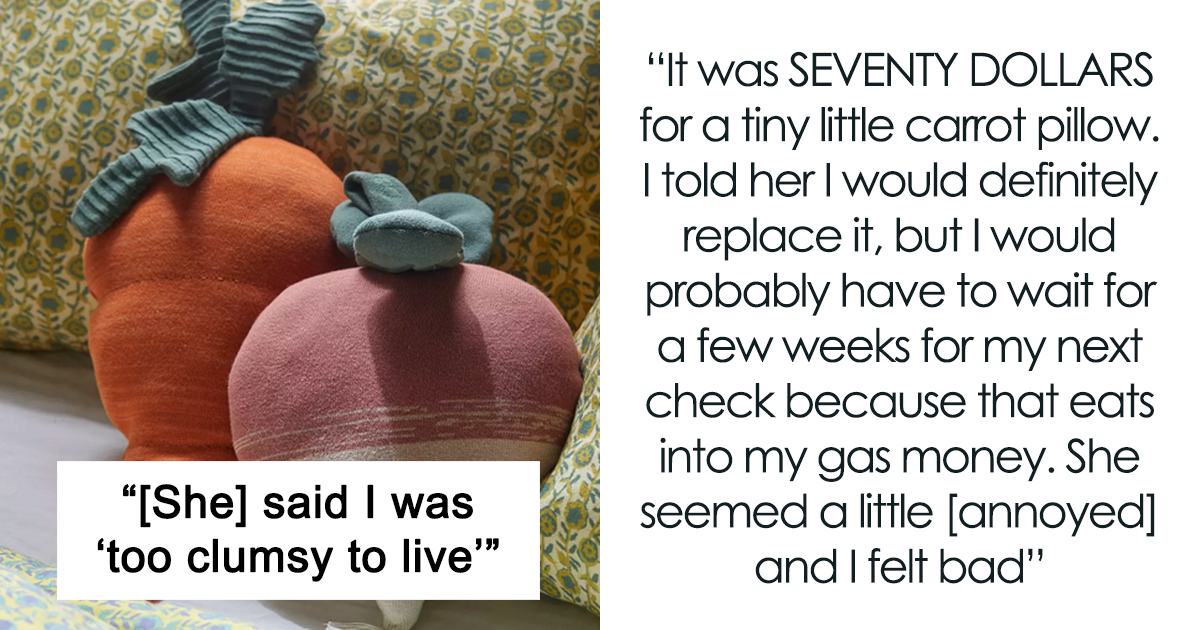 Woman Vows To Replace Her Friend’s Ruined $70 Pillow, But Offers A ...