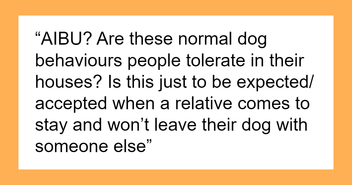Woman’s Mother Insists On Ludicrous Requirements For Untrained Dog, She ...