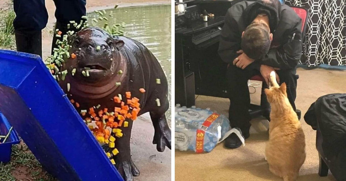 50 ‘Blessed Images’ That May Turn Your Day Around For The Better (New ...