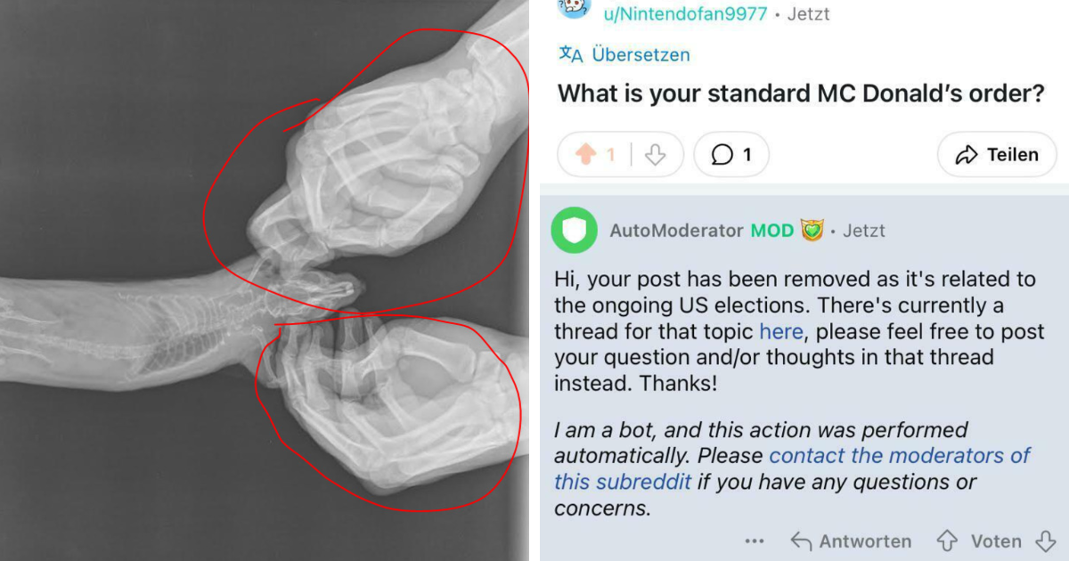 30 Pics That Have Nothing Interesting About Them, Seriously, Nothing ...