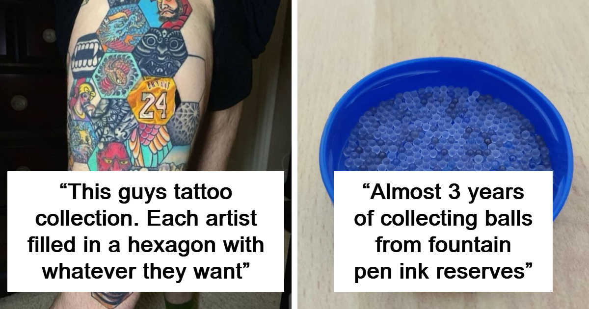 “I Guess I Collect Ceramic Pies Now”: 50 Of The Coolest Collections ...