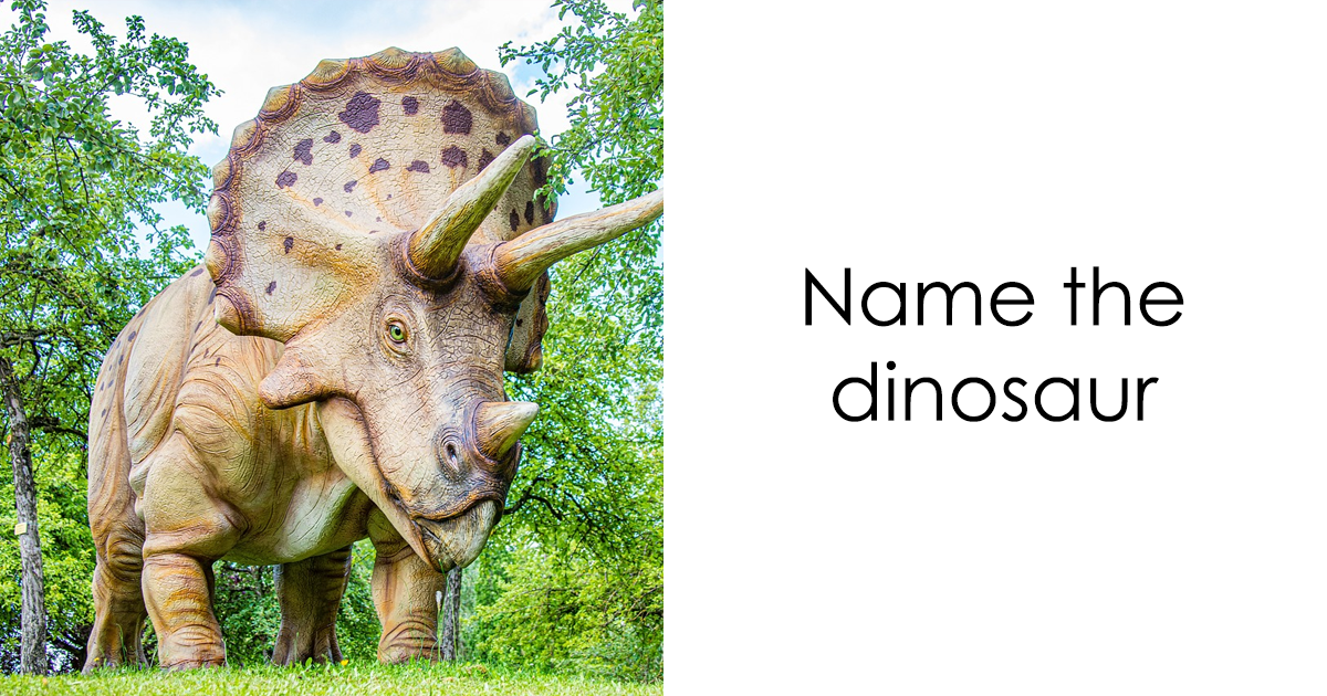 Roar Through These 15 Dinosaur Mysteries And Prove You’re A True Dino ...