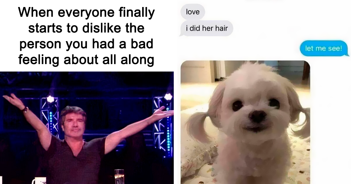 50 Memes That Made The Internet Laugh And Might Make You Chuckle Too ...