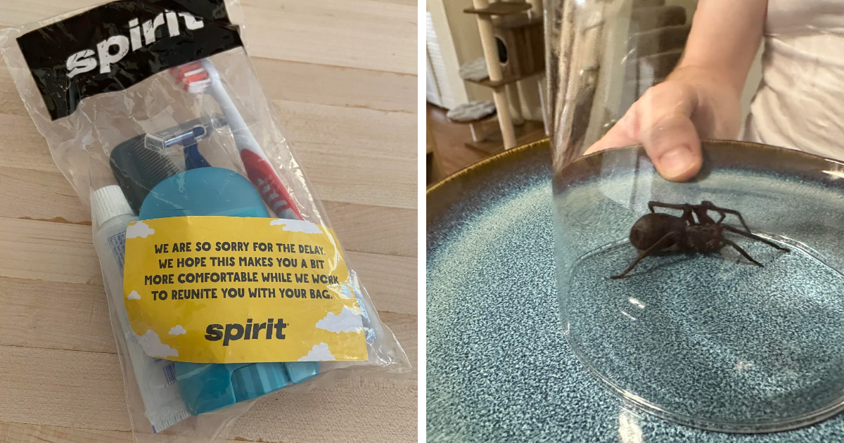 30 Painful Luggage Fails That Might Make You Think “I’m Glad It’s Not ...