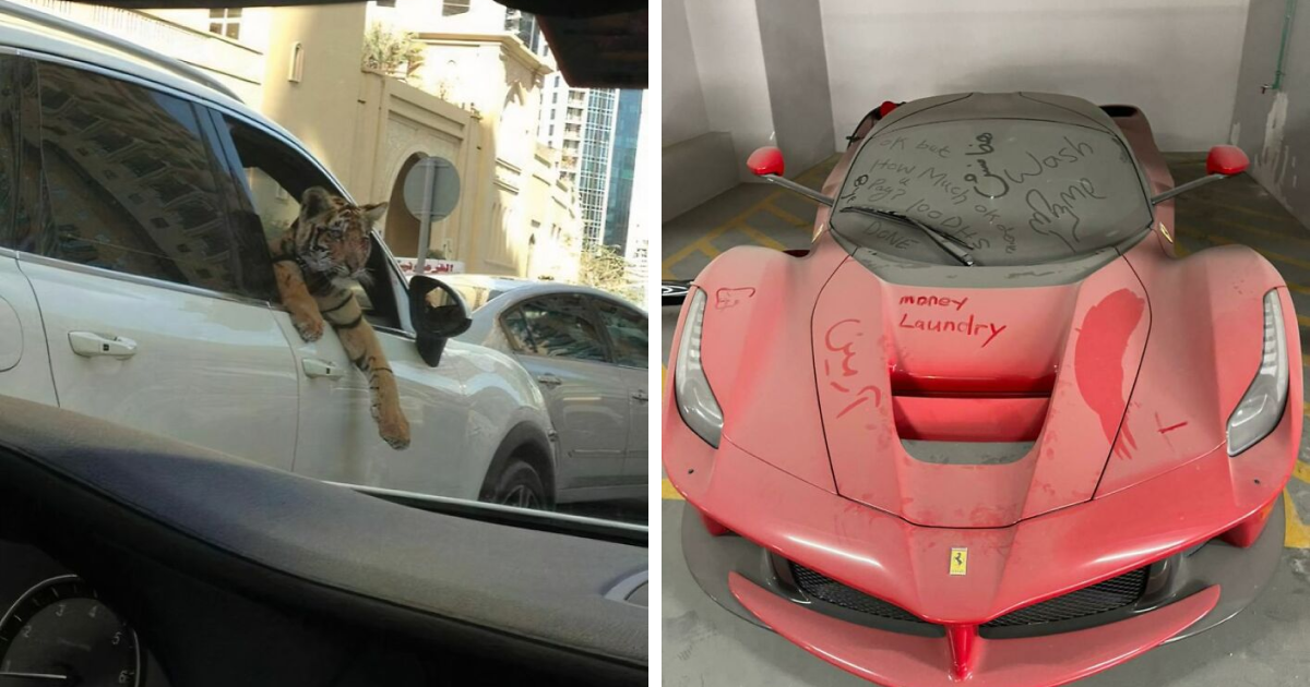 The Rules Of Normal Life Simply Do Not Apply In Dubai According To ...