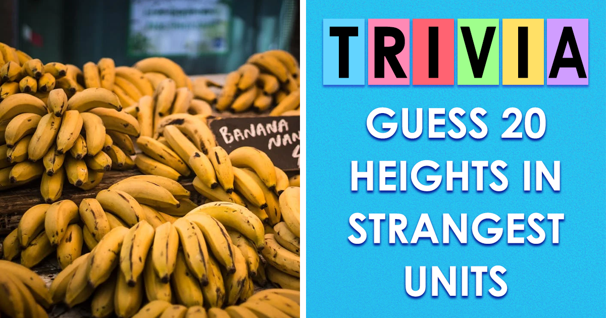 Only A True Measurement Master Can Guess These 20 Wacky Size ...