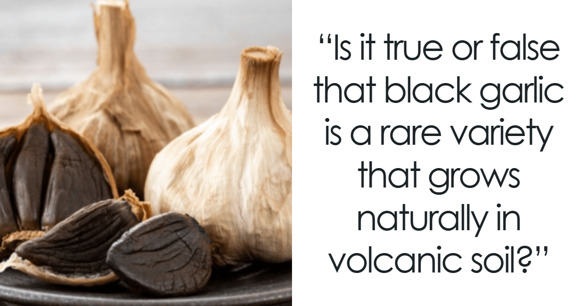 “People Eat That?”: Uncover These 23 Unbelievably Strange & Weird ...