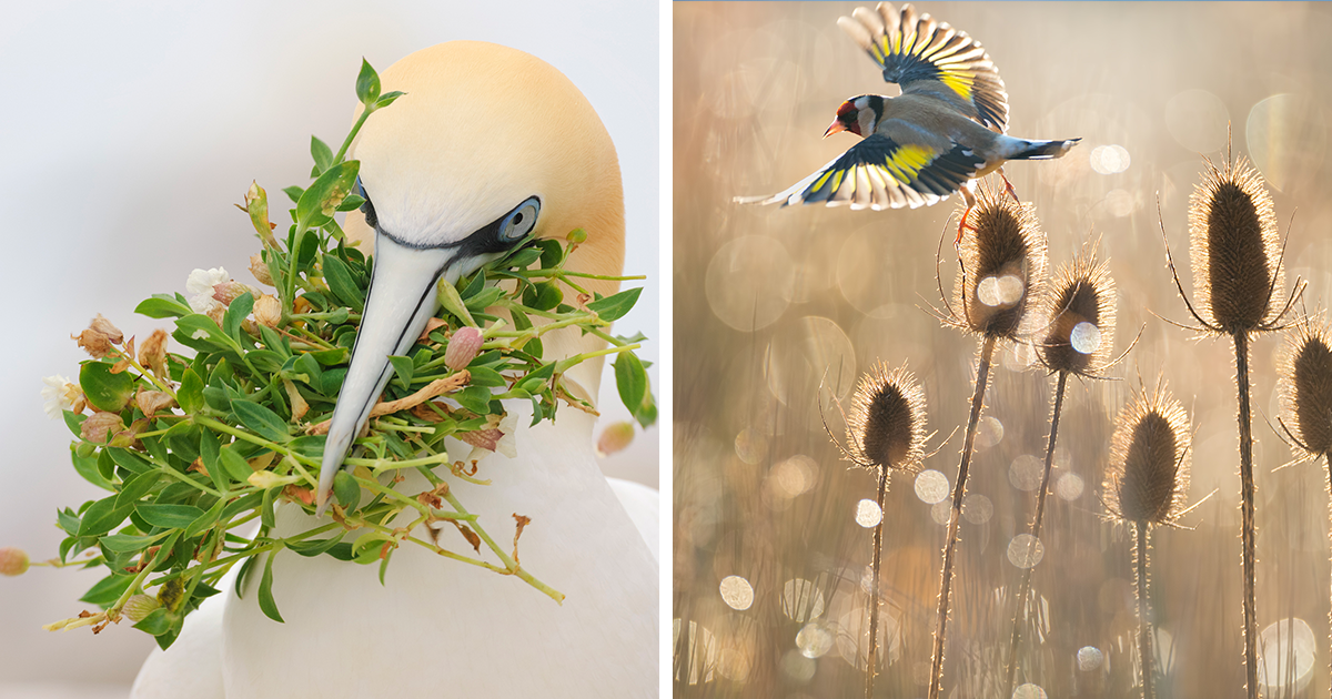 37 Stunning Photos By Jose Manuel Grandío Capturing The Majestic World ...