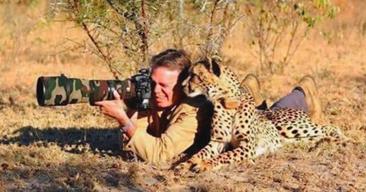 21 Funny Moments When Animals Disturbed Wildlife Photographers At Work ...