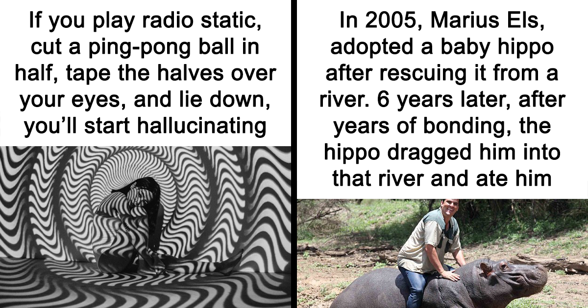 50 Of The Most Interesting And Fascinating Facts (New Pics) | Bored Panda