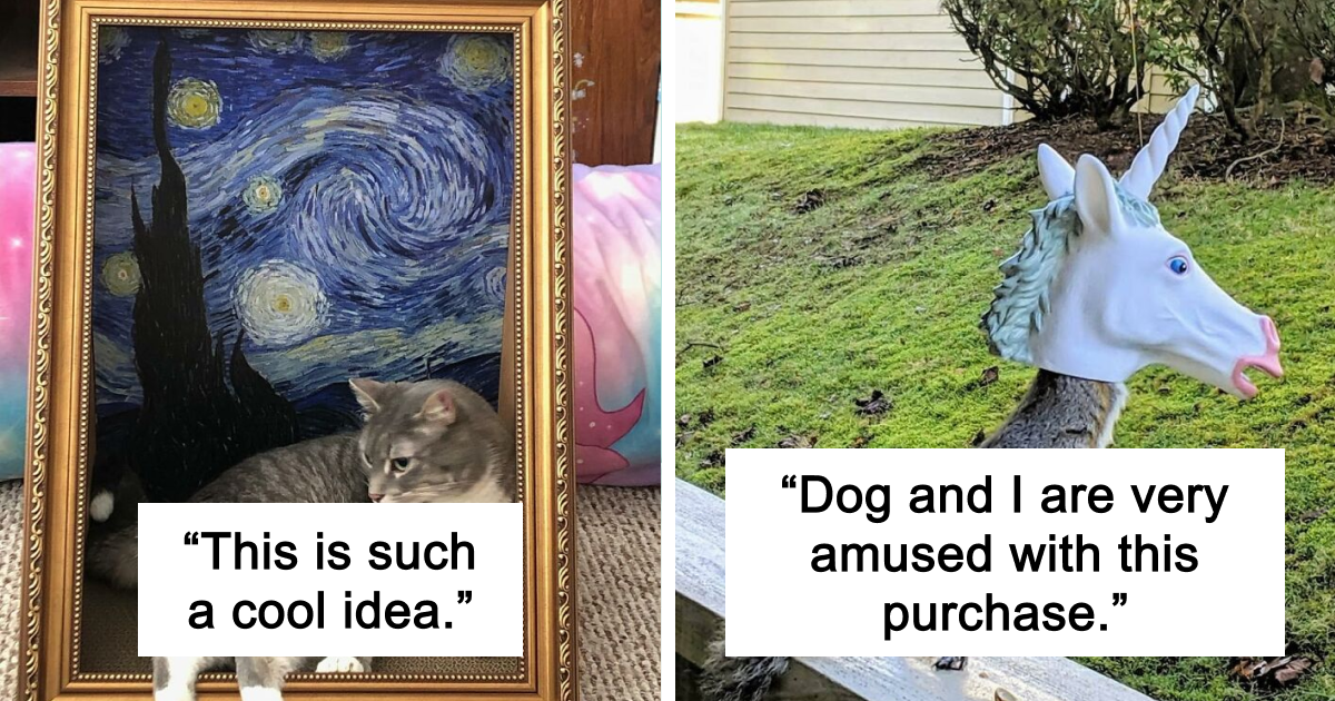 Living The Laugh Track Life With These 25 Actually Hilarious Items ...