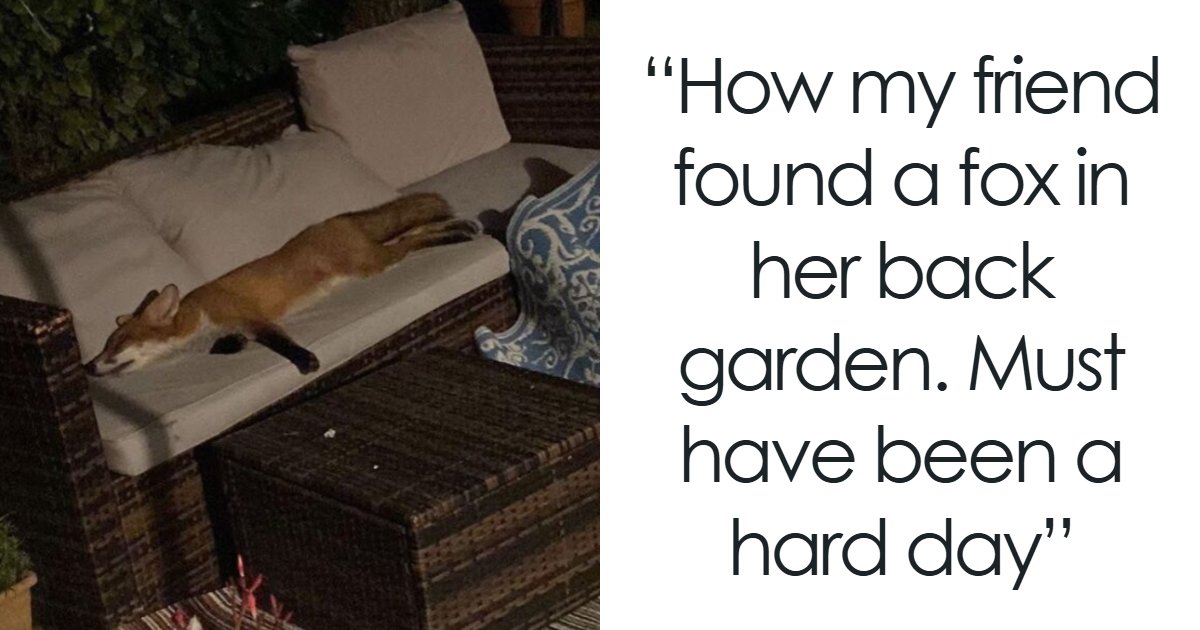 50 Times “Pics Or It Didn’t Happen” Delivered Pure Chaos | Bored Panda