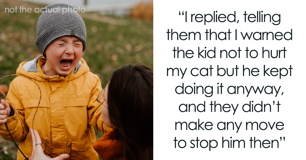 “That Thing Is Dangerous!”: Parents Let Kid Hurt Someone’s Cat, Throw A ...