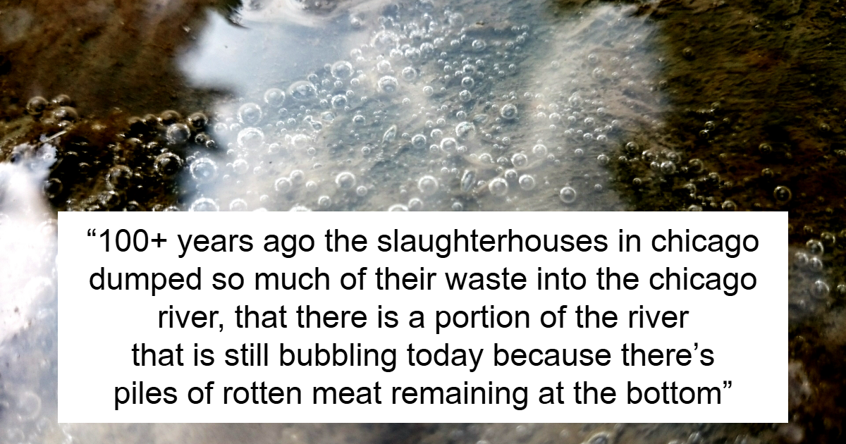27 People Speak About The Most Horrifying Local Dangers That Are Just A ...