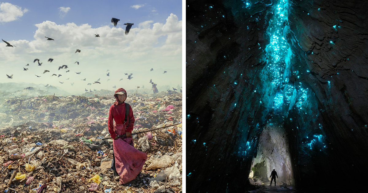 The 2025 Refocus Awards Just Revealed The Best Color Photography, And ...