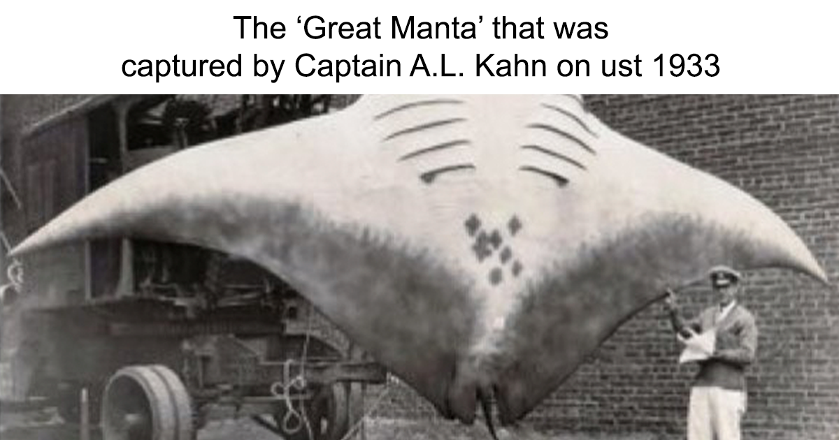 50 Horrifying Real-Life Facts And Pics That You Shouldn't Look At ...