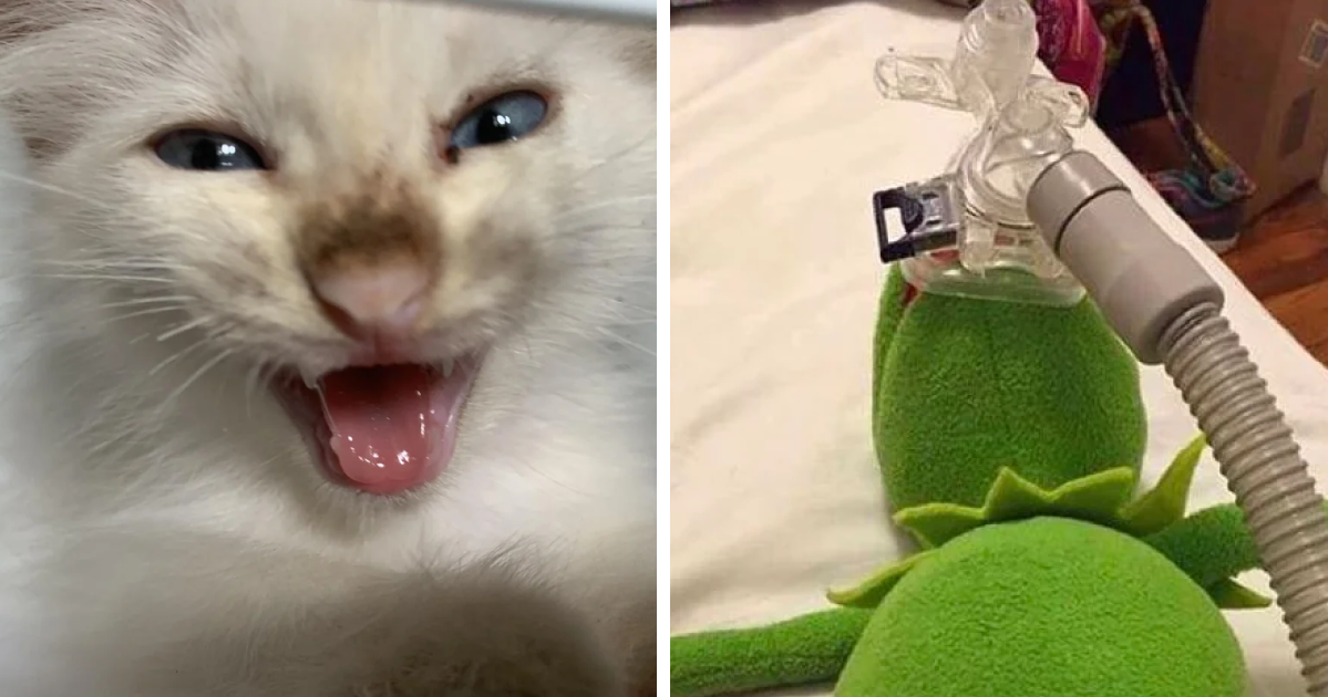 Readers’ Vote: 69 Dirty Jokes That Range From Cheeky To Outright ...