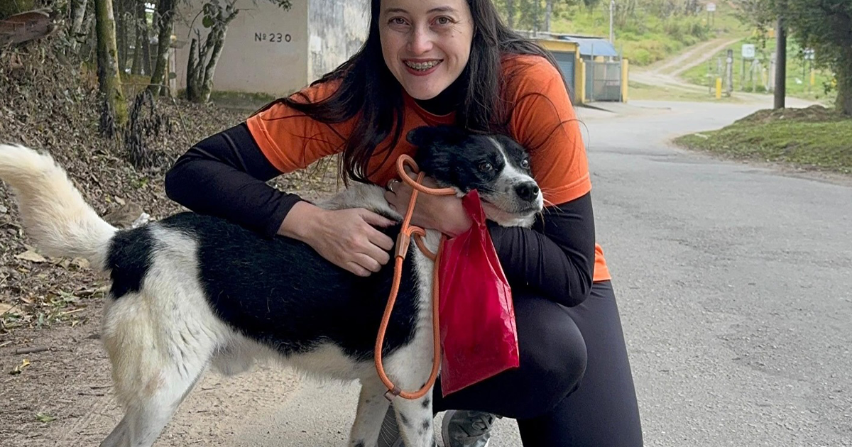 50 Photos That Capture The Pure Joy Of Shelter Dogs On Their Weekly ...