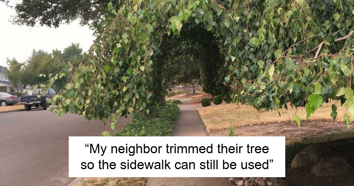These 50 Neighbor Stories Might Be The Sweetest Thing You See Today ...