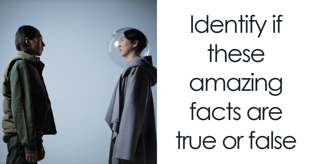 Only 12% Pass This Surprising True-Or-False Quiz – Are You One Of Them ...