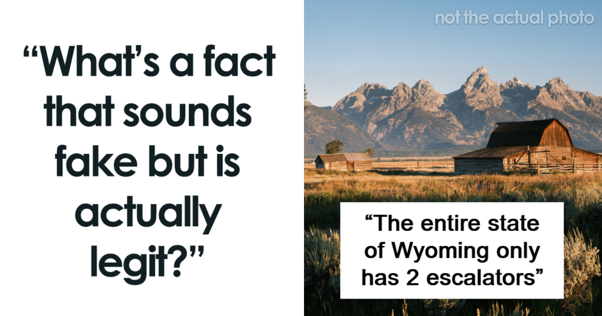 “You Can’t Choke An Owl”: 43 Facts That Sound Fake But Are Totally Real ...