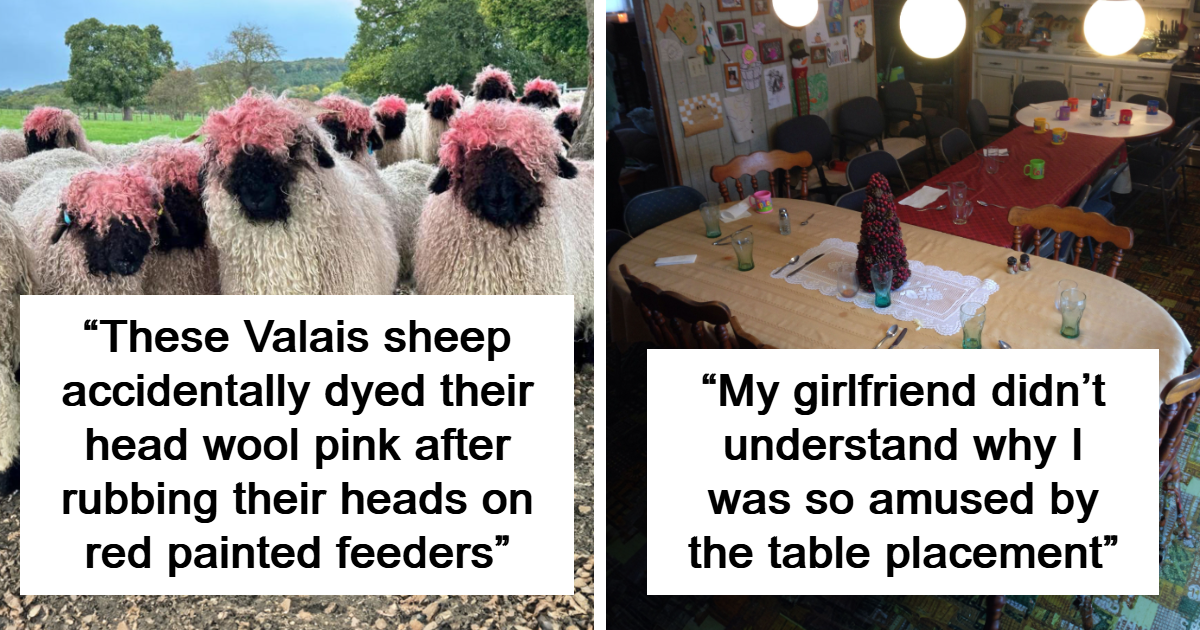 50 Hilarious “Accidental Comedy” Photos That Prove Humor Finds You When ...