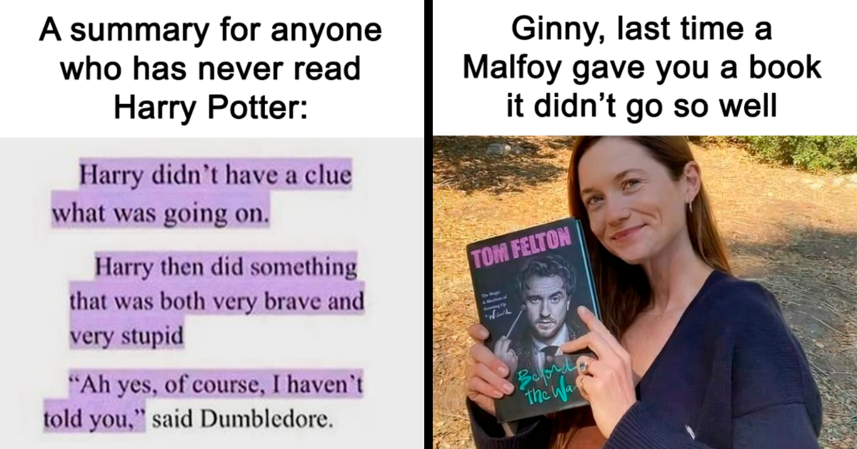 The Chamber of LOLs: 75 "Harry Potter" Memes That Need No Laughing ...