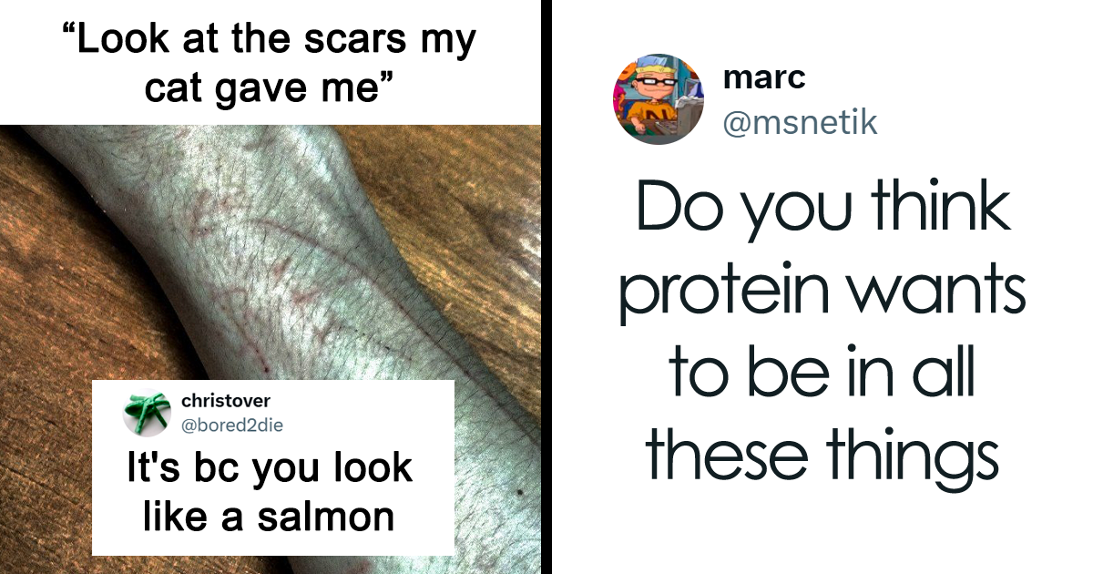 50 Times People Shared Hilarious Tweets That Sum Up The Human ...