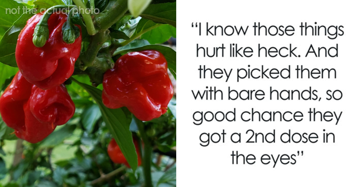 “I Haven't Laughed That Hard In A Very Long Time”: Woman Torn Between ...
