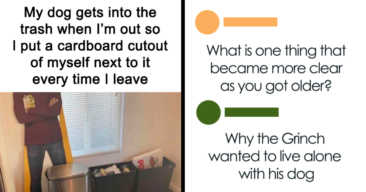 “Worry About Yourself Babygurl”: 38 Hilarious, Random Memes To Brighten ...