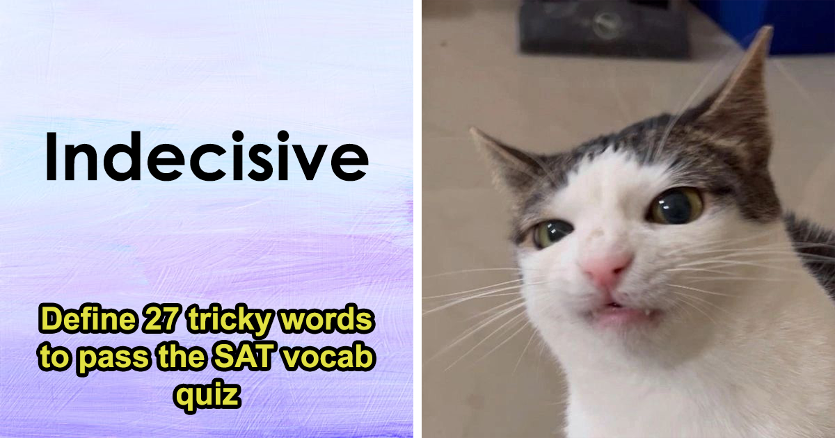 What Does “Meticulous” Mean? 87% Of Adults Fail This SAT Vocabulary ...