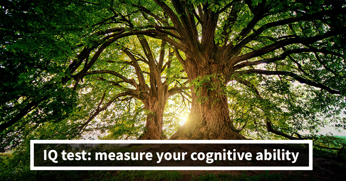 How High Is Your IQ? Test Your Mind With These Challenging Questions ...