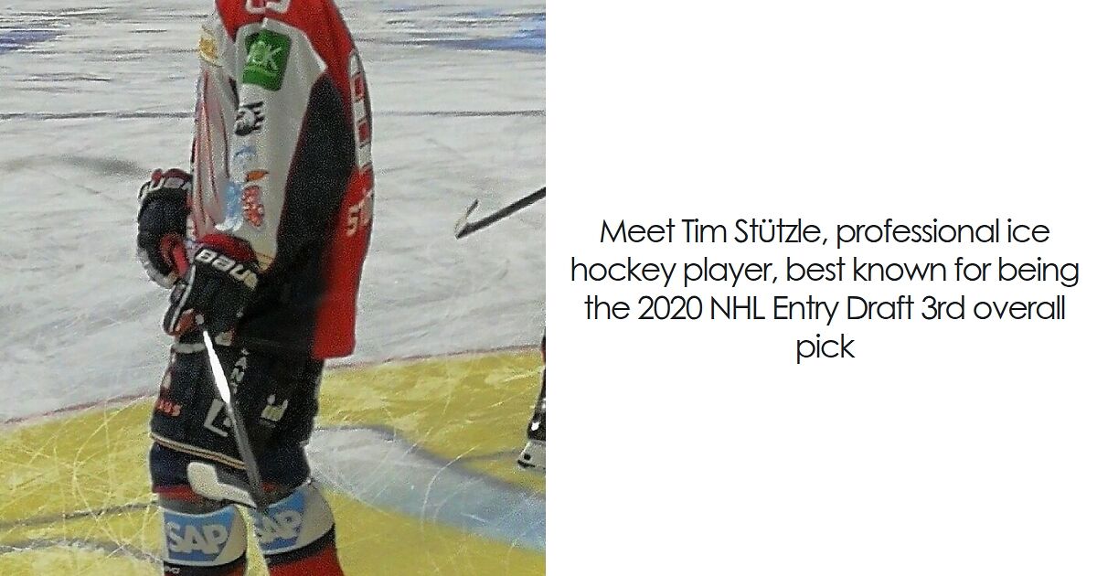 Tim Stützle: Bio And Career Highlights | Bored Panda