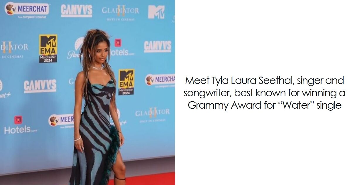 Tyla: Bio And Career Highlights | Bored Panda