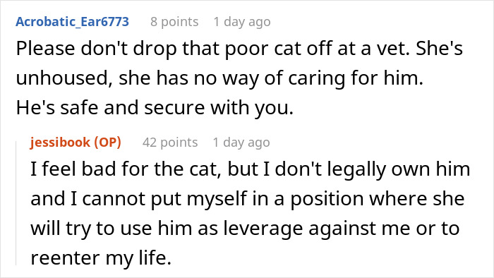 Lady Hires Friend To House-Sit While She Has Surgery, Returns To Chaos ...
