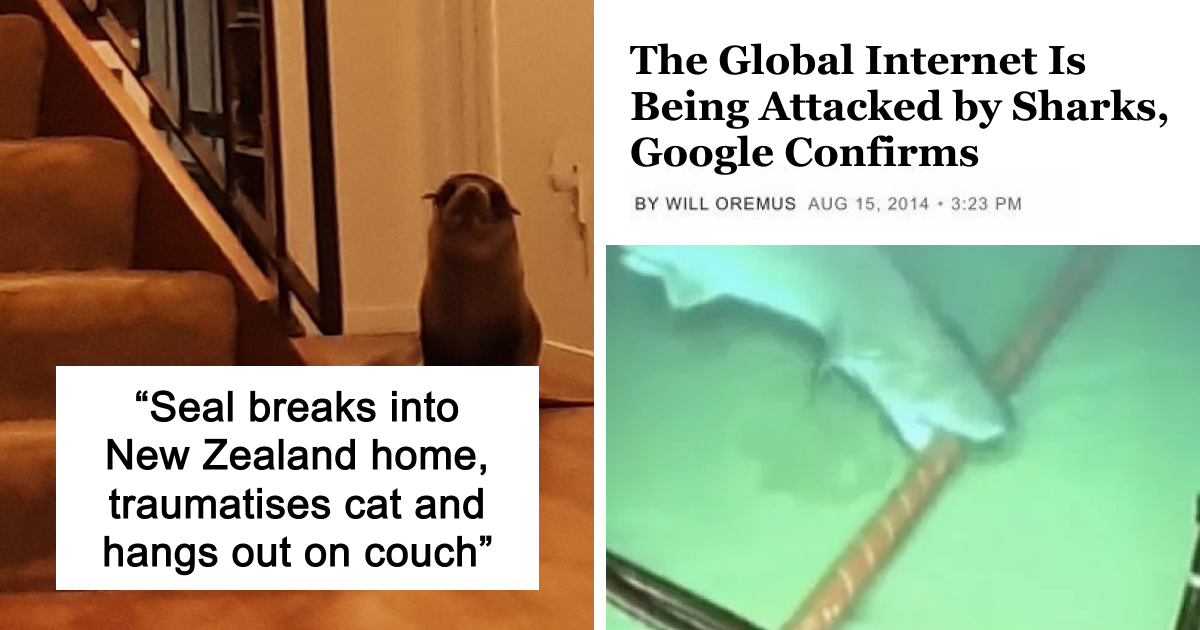 61 Wild Incidents That Would Be Hard To Believe If They Hadn’t Made ...