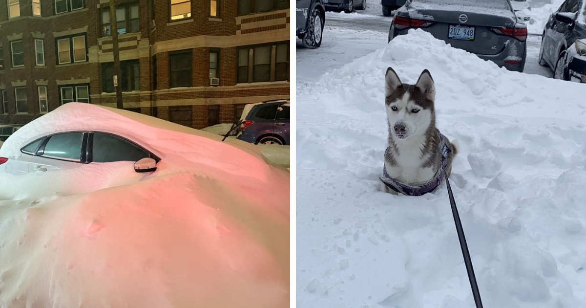 94 Photos Of A Snowstorm Hitting The U.S. That Might Make You Want To ...