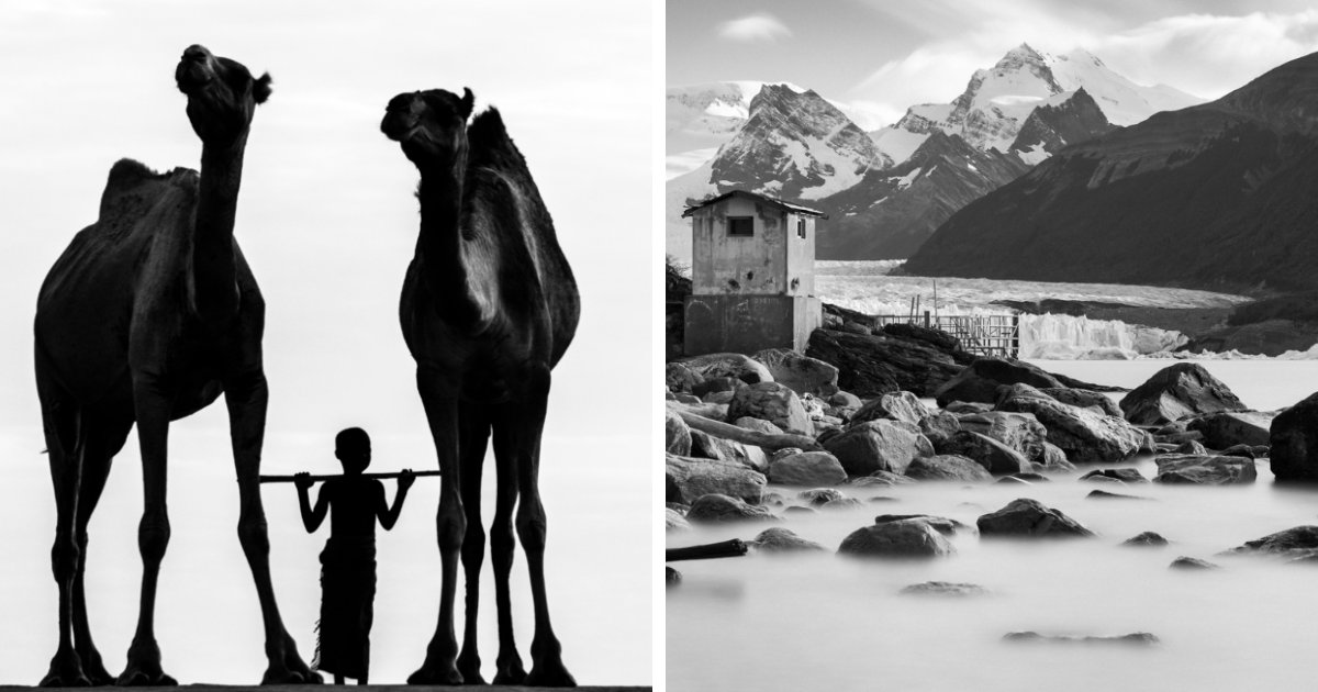 Exposure One Awards Nature Photography Contest Presents 43 Winning ...