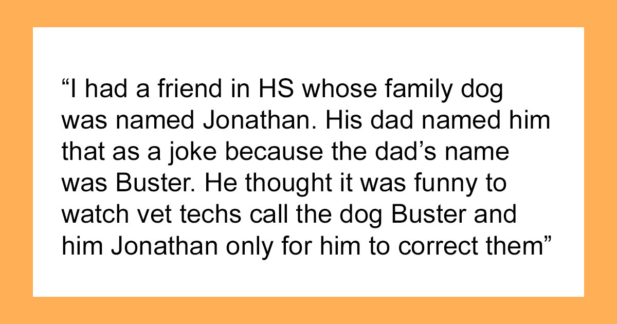 “Ozzy Clawsbourne”: 50 Hilarious And Unhinged Pet Names That Made ...