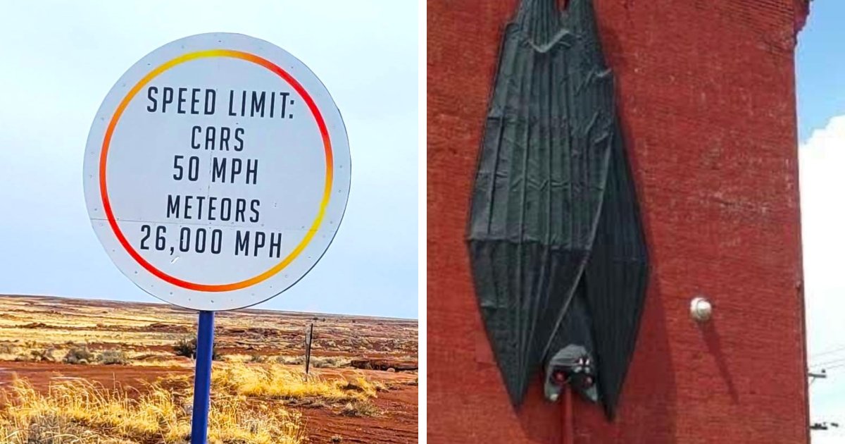 88 Funny, Quirky, And Wonderful Gems Of “Roadside USA” You Won’t Find ...