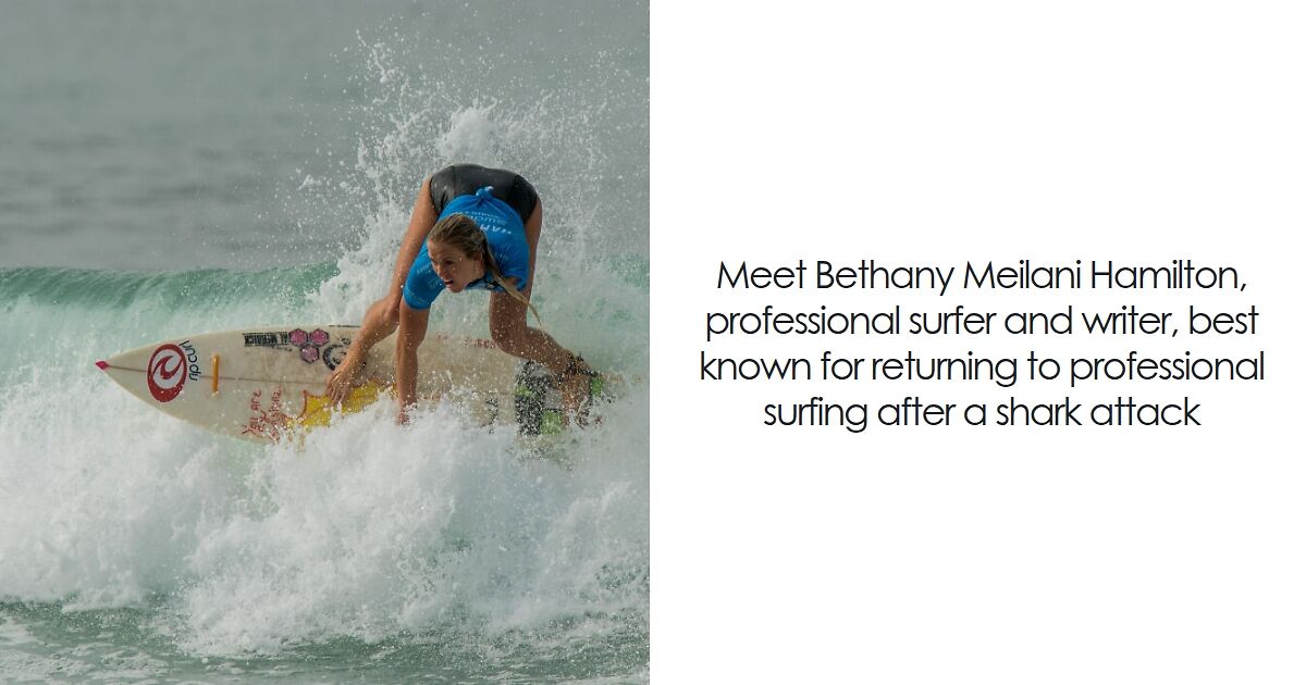 Bethany Hamilton: Bio And Career Highlights | Bored Panda