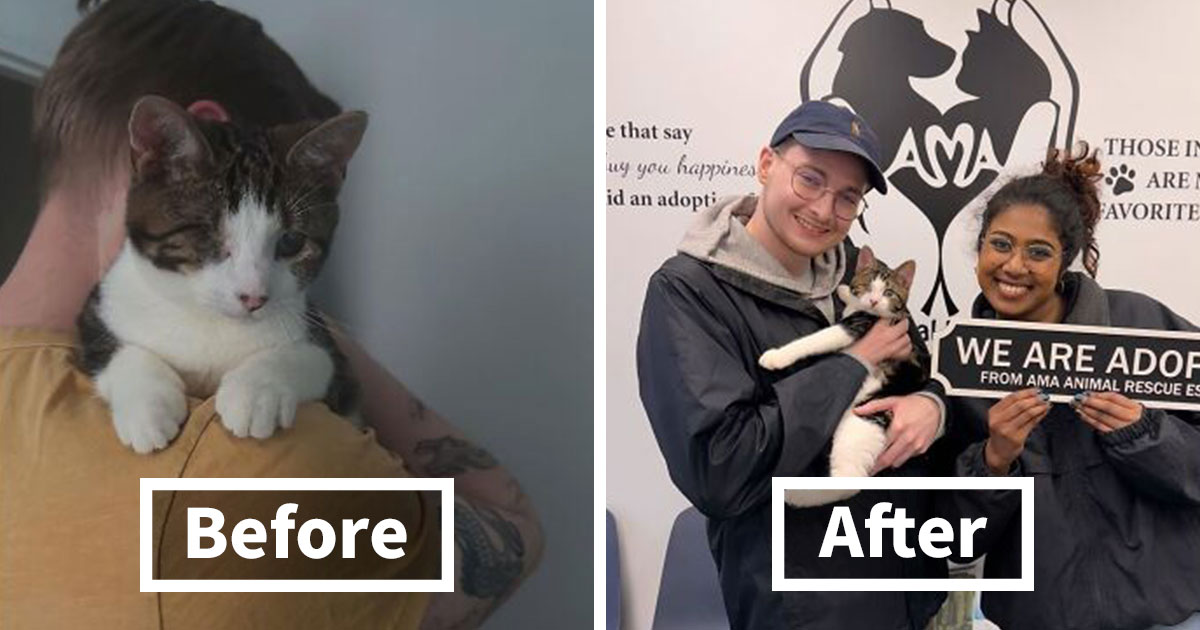 30 Heartwarming Before-And-After Photos That Show How Rescue And ...