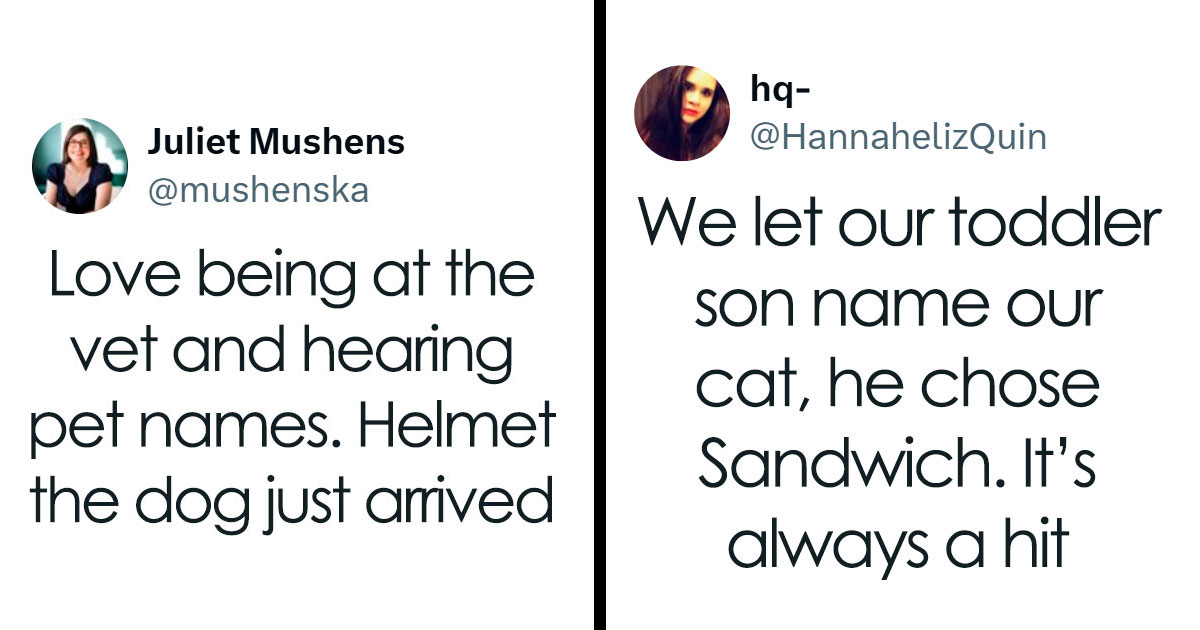 40 People Who Loved The Funny Names Owners Gave Their Beloved Pets ...